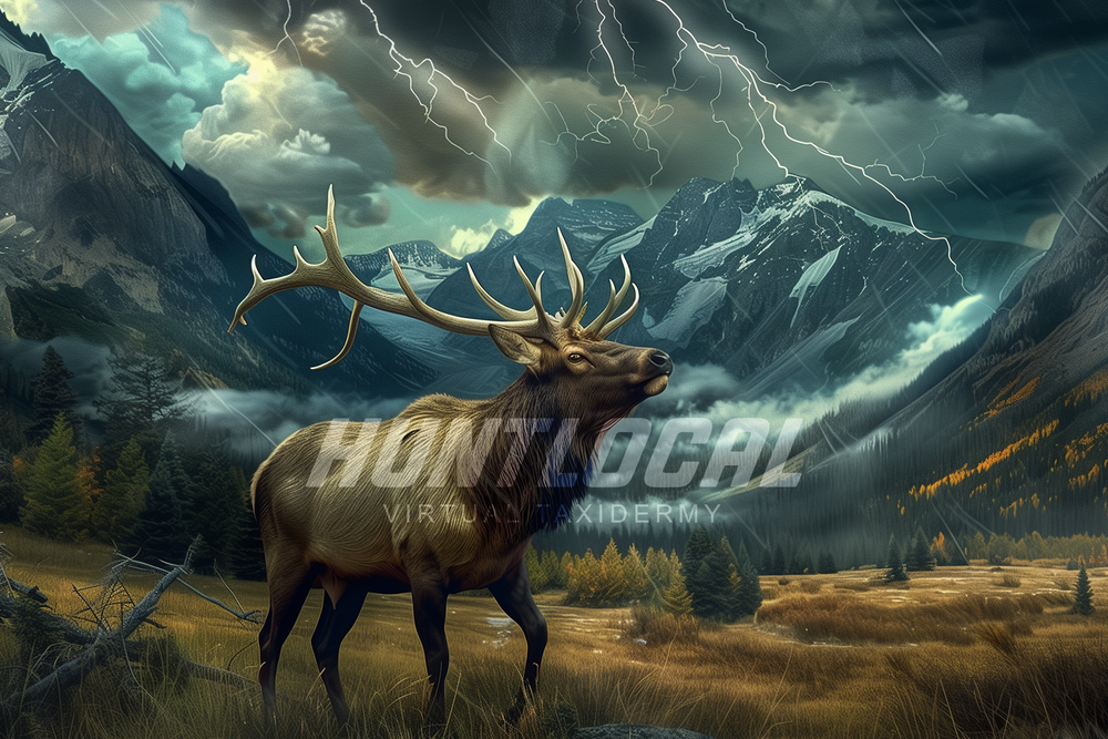 Custom Deer Art & Mini Mounts | Virtual Taxidermy | Hunt Local
